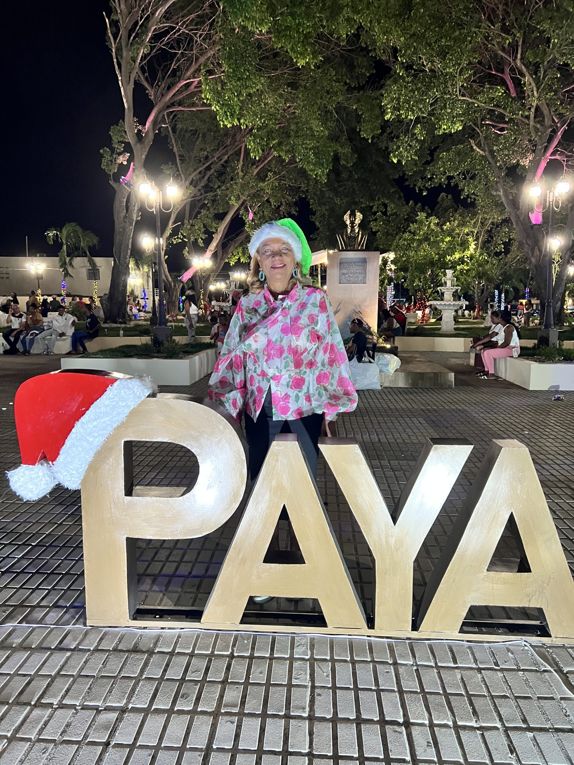 Junta Distrital Municipal de Paya